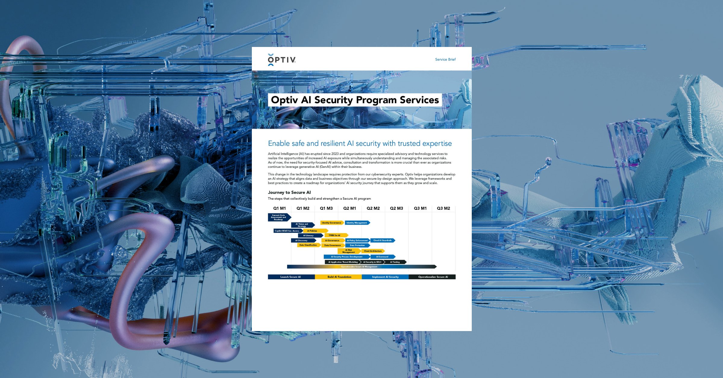 Ai Security Program Services Optiv